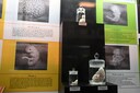 Leuvens ‘kleine, maar fijne’ natuurhistorisch museum gaat een onzekere ...