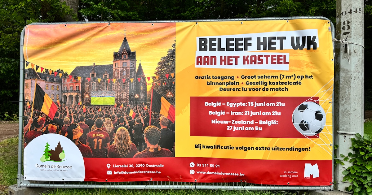 Rode Duivels op groot scherm in actie zien? WK-wedstrijden worden ...