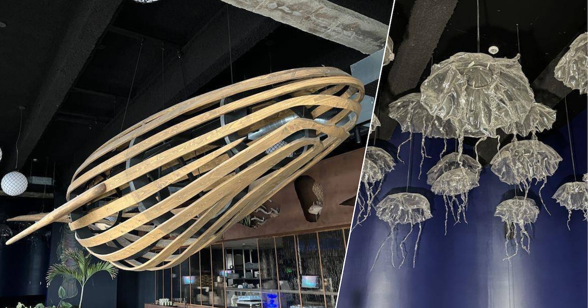 Te veil vanaf 500 euro: houten walvisskelet uit failliet Antwerps ...