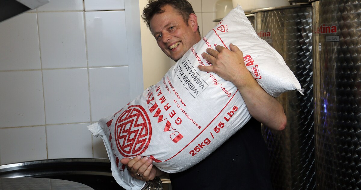 Brouwerij Leysen lanceert alcoholarm bier: “Smaak van een IPA en ...