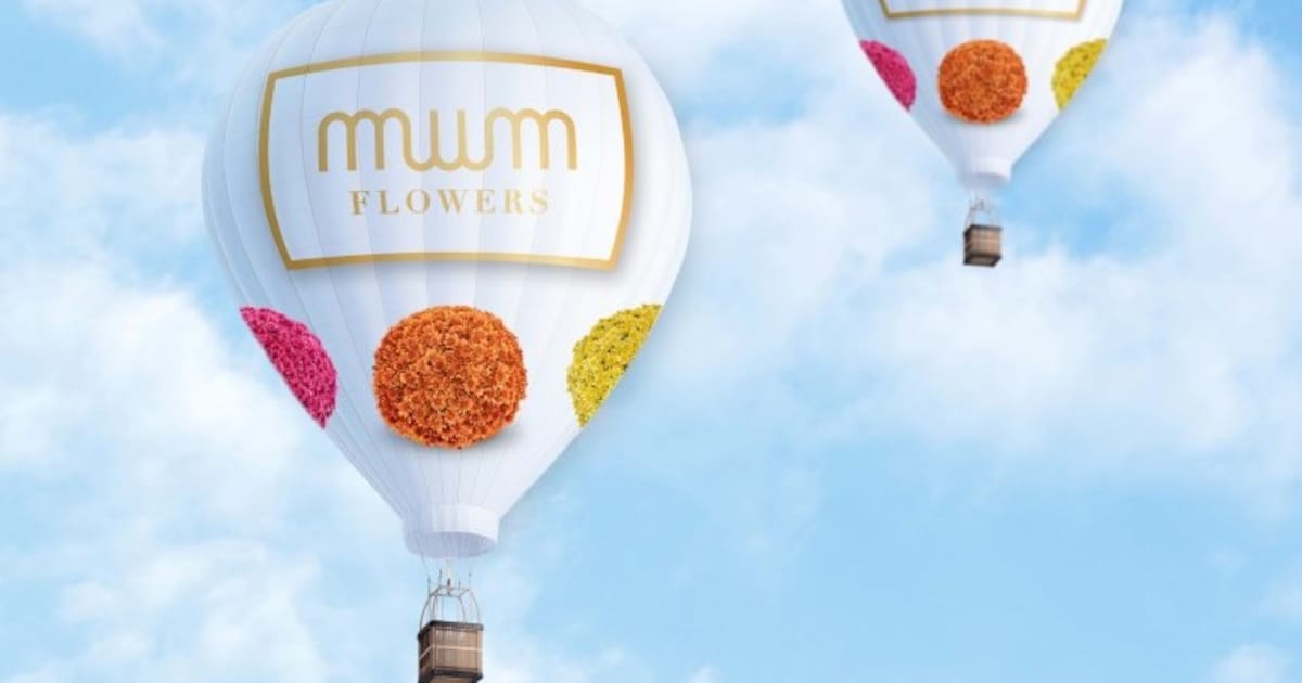 Gediflora herdoopt ‘Belgian Mums’ tot ‘Mum Flowers’ | Staden | HLN.be