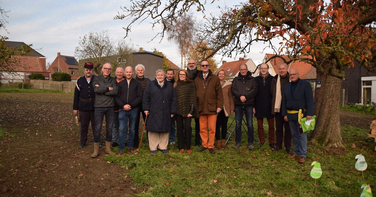Het is nu officieel: “De boom van het jaar staat in Klerken ...