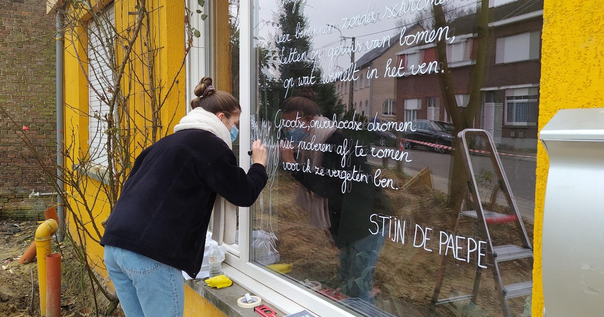 Tover je raam om tot poëzie: Wommelgem zoekt adoptieramen voor ...