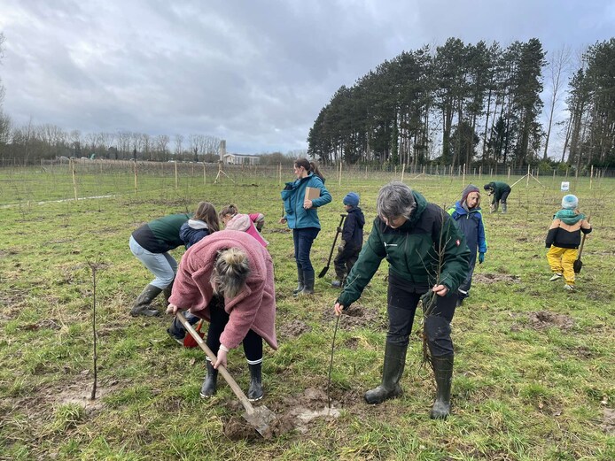 Nieuw bos van 1,6 hectare geplant in Erembodegem: “Bijna 4.300 boompjes ...