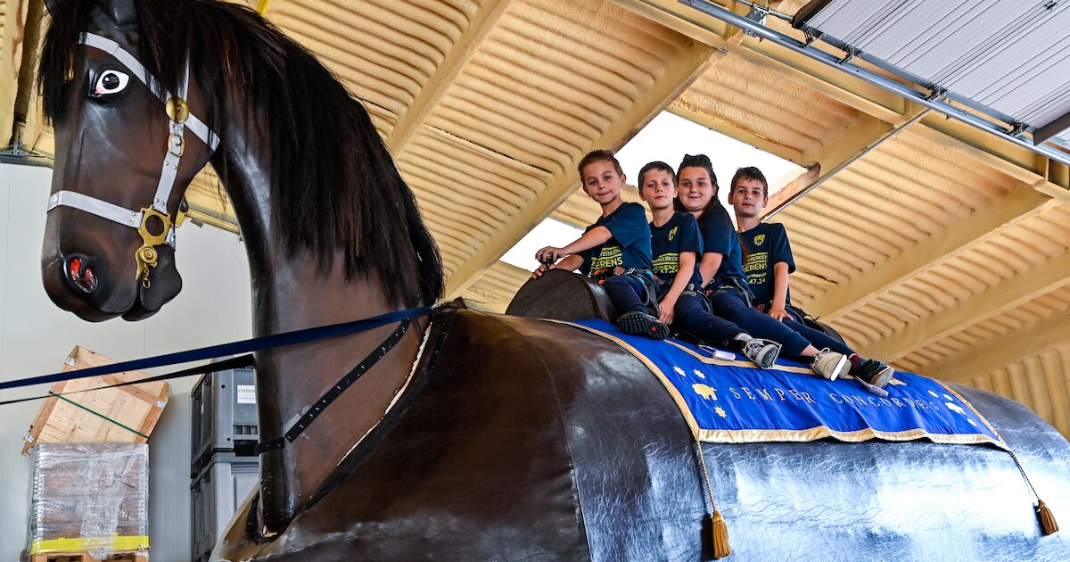 VIDEO. Nieuwe heemskinderen Briek, Rune, Fynn en Febe mogen meteen op ...