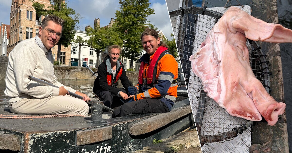 Op pad met de mannen die jaarlijks tot 4 ton afval uit Brugse reien ...