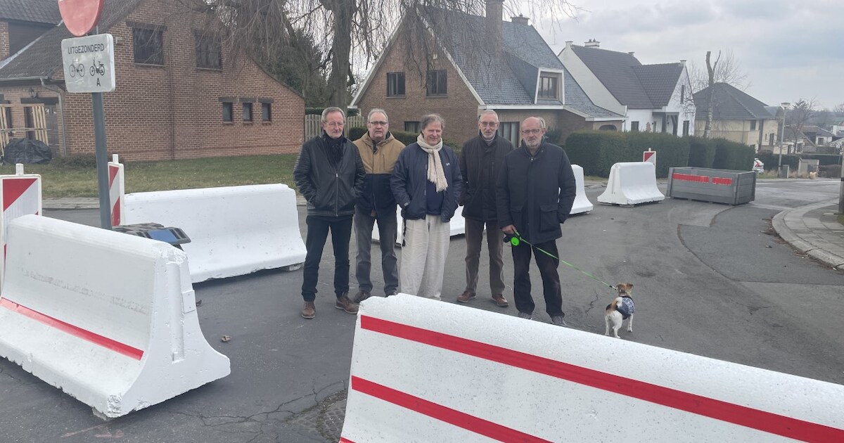 Bewoners Groenlaan en omgeving willen dat proefopstelling nu al ...