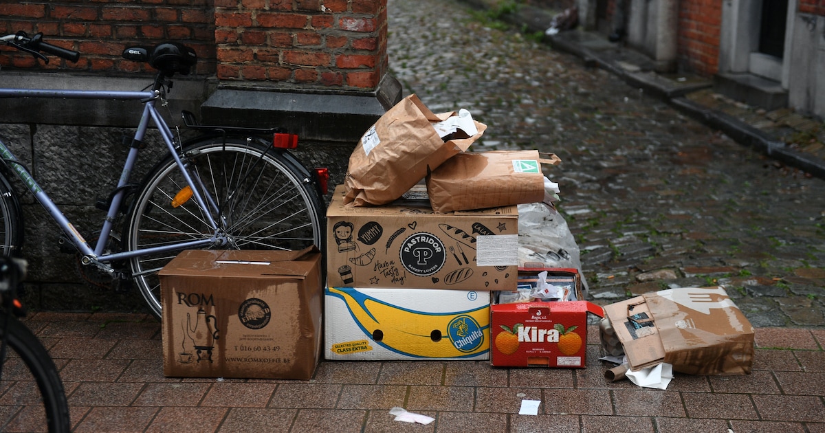 Tot 4,50 euro per maand: in Herent moet je straks betalen om je papier met de gele container mee ...