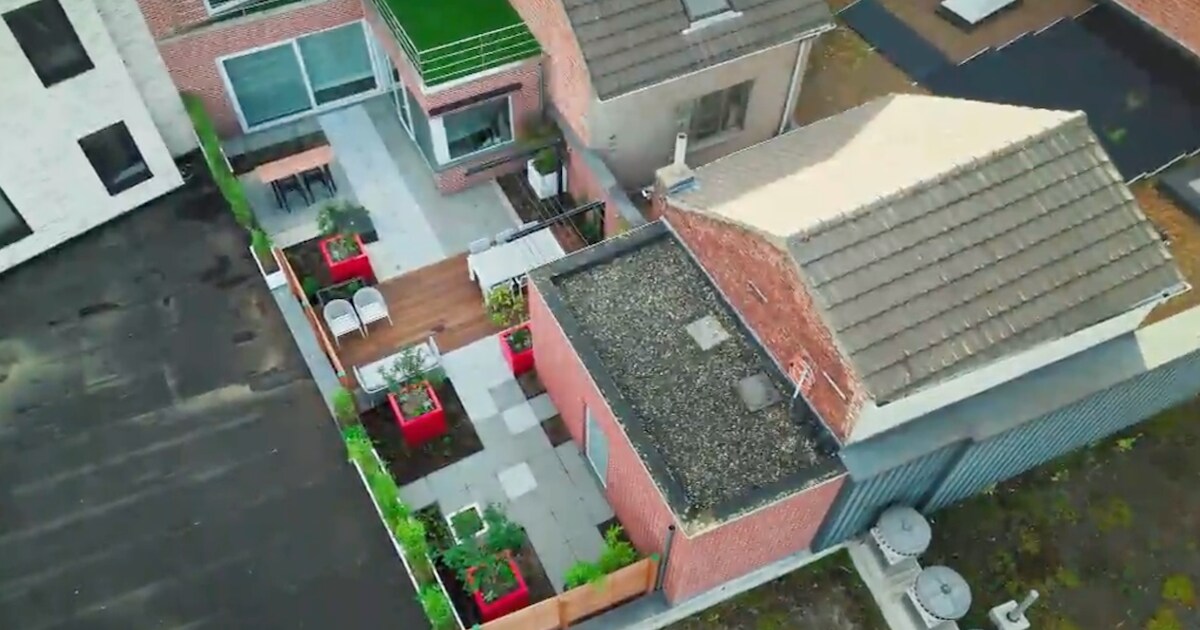 Deze week in ‘Goed Geplant’: troosteloos dakterras wordt groene oase ...