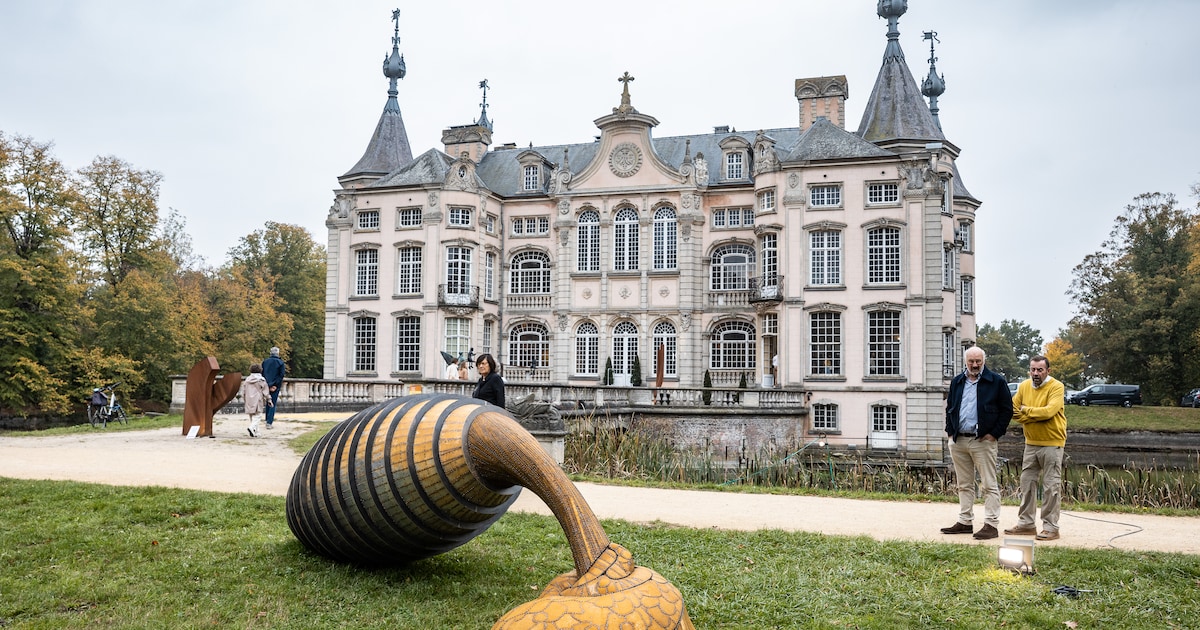 KIJK. De Biënnale in het Kasteel van Poeke in beeld | Aalter | HLN.be