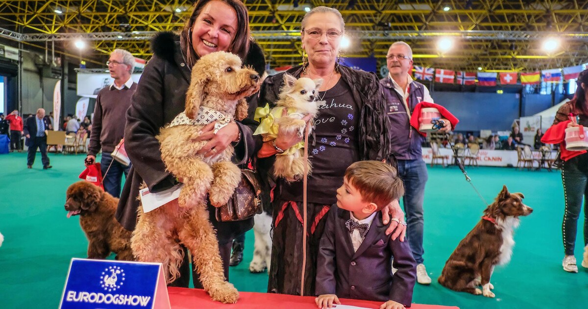 Marina, Nathalie en hun honden maken mooiste dogfie | Kortrijk | hln.be