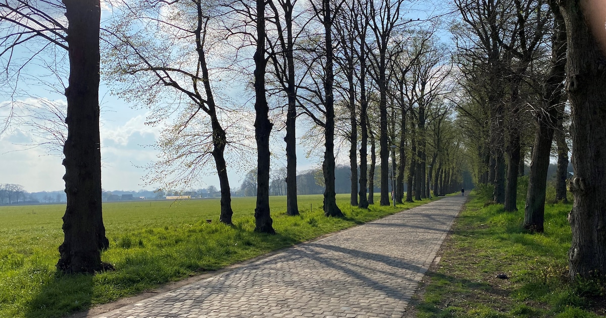 Stap langs de mooiste plekjes van Neteland en win prachtige prijzen ...