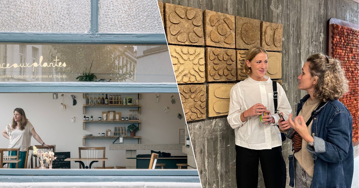 Brussels Design September verandert van naam en wordt Brussels Design ...