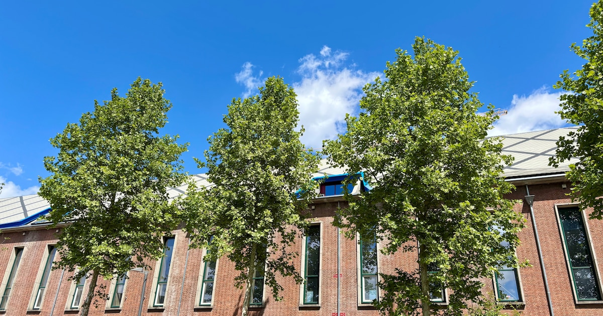 Het aftellen kan beginnen: vernieuwde stadhuis opent begin oktober ...
