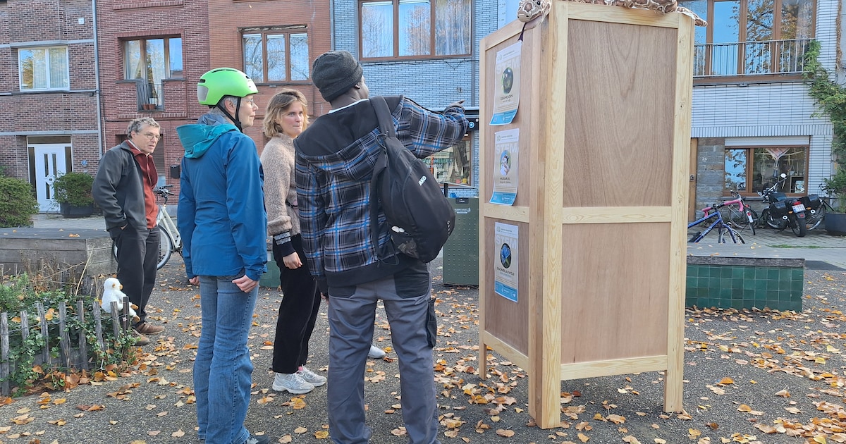Natuurpunt Gent lanceert Gentse Beesten Verkiezing: “Gentenaars in ...