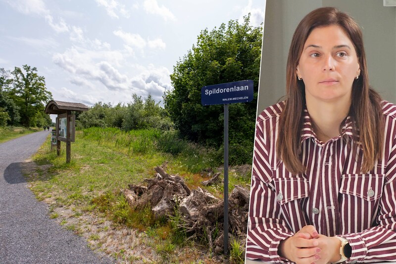 Jongeman (23) gevat na achtervolging door bos in Mechelen: “Onderweg ...
