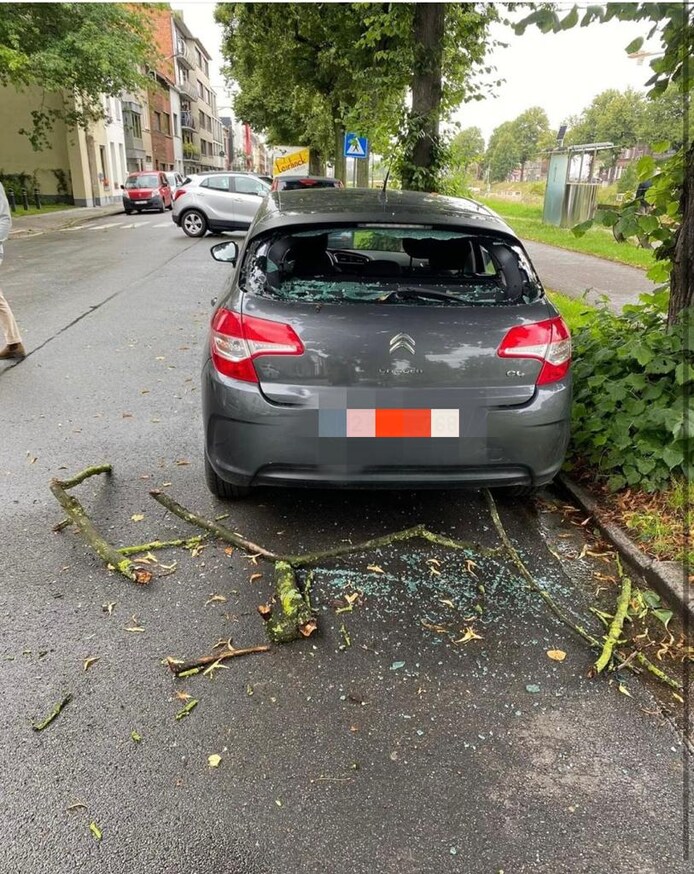 Afgewaaide tak verbrijzelt achterruit auto in Brugse Poort | Gent | hln.be