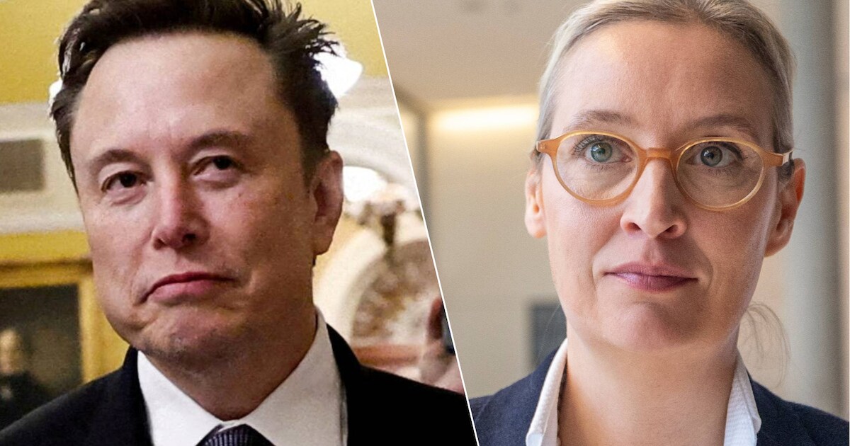 Musk mengt zich opnieuw in Duitse kiescampagne: onlinegesprek met AfD ...