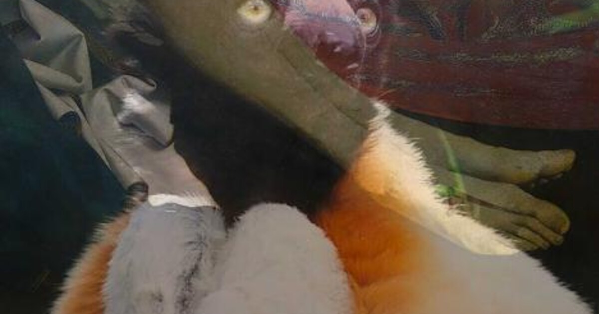 Tweede editie van R(a/u)pture verwelkomt Devin Horan | Leuven | hln.be