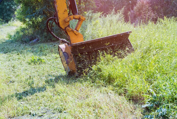 Beernemse landbouwers hebben recht op premies voor inzaai groenbedekkers en randenbeheer ...
