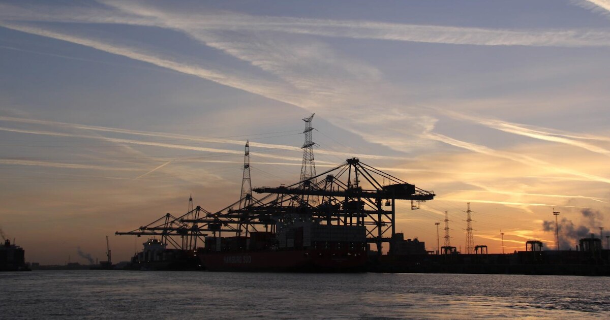 Politie pakt weer drugsuithalers op in Antwerpse haven: “Al 12 man deze ...
