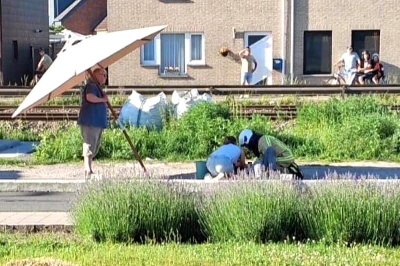 “Die jongen vroeg naar zijn mama.” Man met parasol staat symbool voor ...