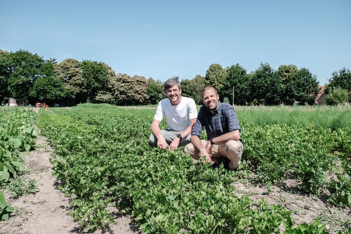 The Barn opent na het Zuid tweede overdekte biomarkt in Berchem ...