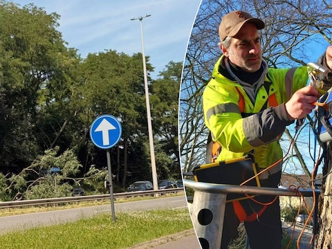 Omgevallen boom veroorzaakt verkeerschaos op Leuvense Ring: “Mogelijk ...