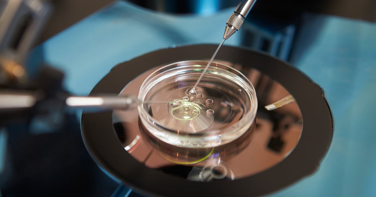 Vrouwen die IVF-behandeling ondergaan hebben dubbel zoveel kans op ...