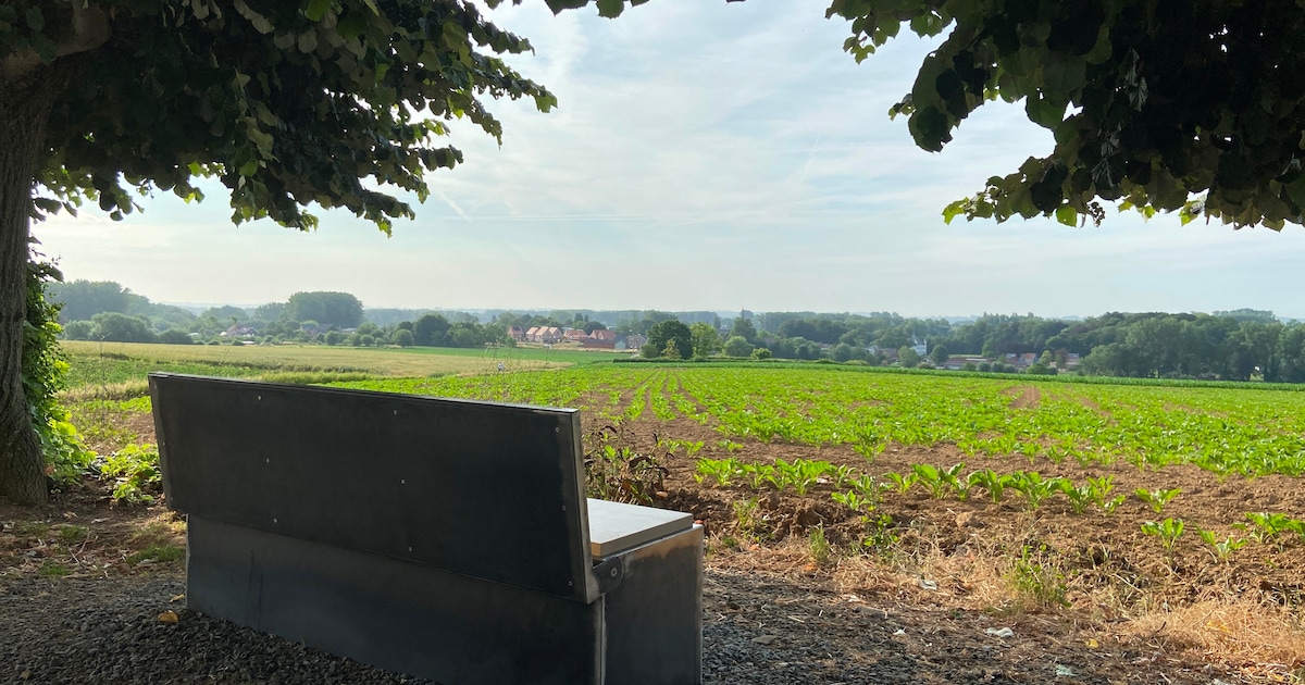 Adembenemend zicht dankzij Markante zitbank aan OVL der Zeven Weeën ...
