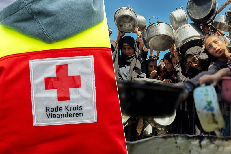 Hasselt schenkt 5.000 euro aan Rode Kruis voor noodhulp in Gaza | Regio ...