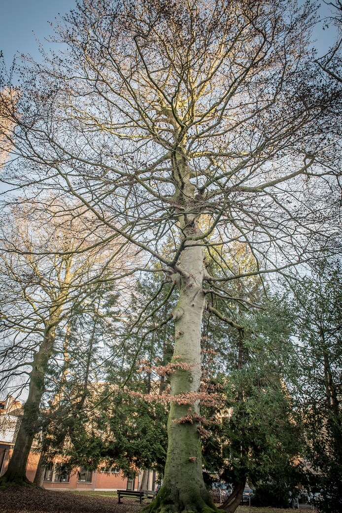 ACV stuurt bouwplannen bij na protest: “Nu hebben alle Roeselarenaars ...