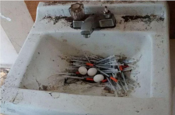 "Duivennest gemaakt van injectienaalden toont ernst van drugscrisis ...