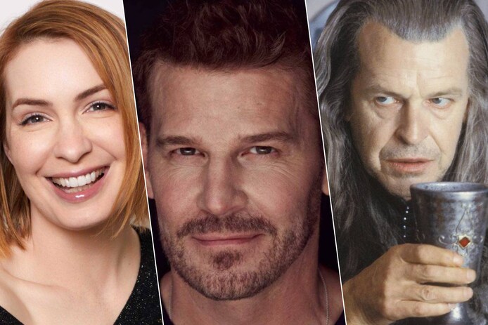 Van een oude bekende uit Lord of the Rings tot Harry Potter-ster ...