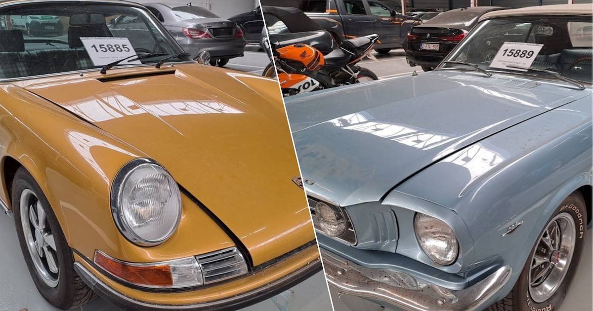 Van een Ford Mustang tot een Harley-Davidson: Belgische overheid ...