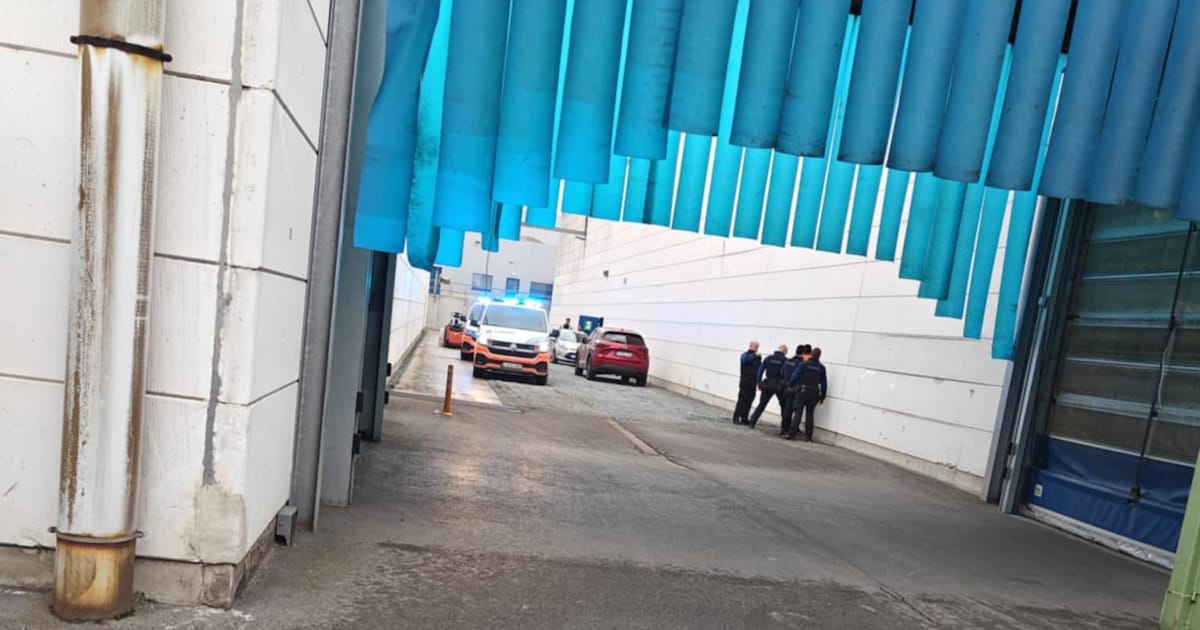 Man vlucht voor politie en stormt bedrijventerrein op in Erembodegem ...