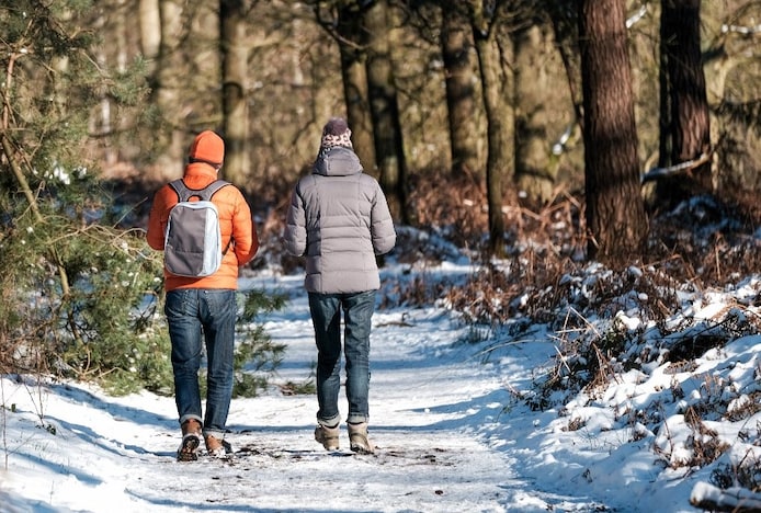Mooie natuurwandeling doorheen het bos- en beemdenpad in Lint | Hove | hln.be