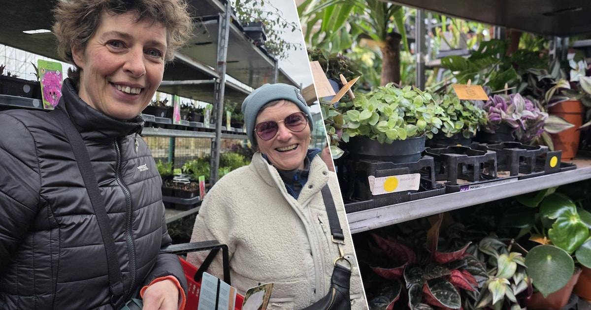 “Je begint met één plantje en plots is je kar vol”: stormloop voor ...