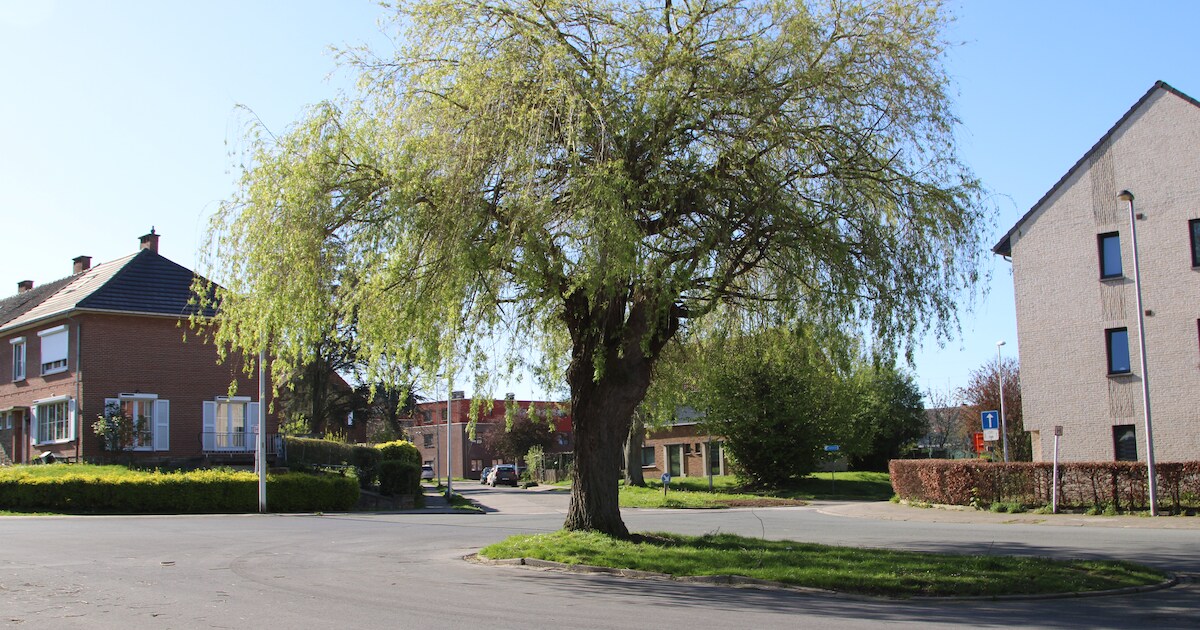 Plannen voor koel klimaatplein in wijk Vogelweelde zorgen voor ongerustheid: “Wij vrezen voor ...