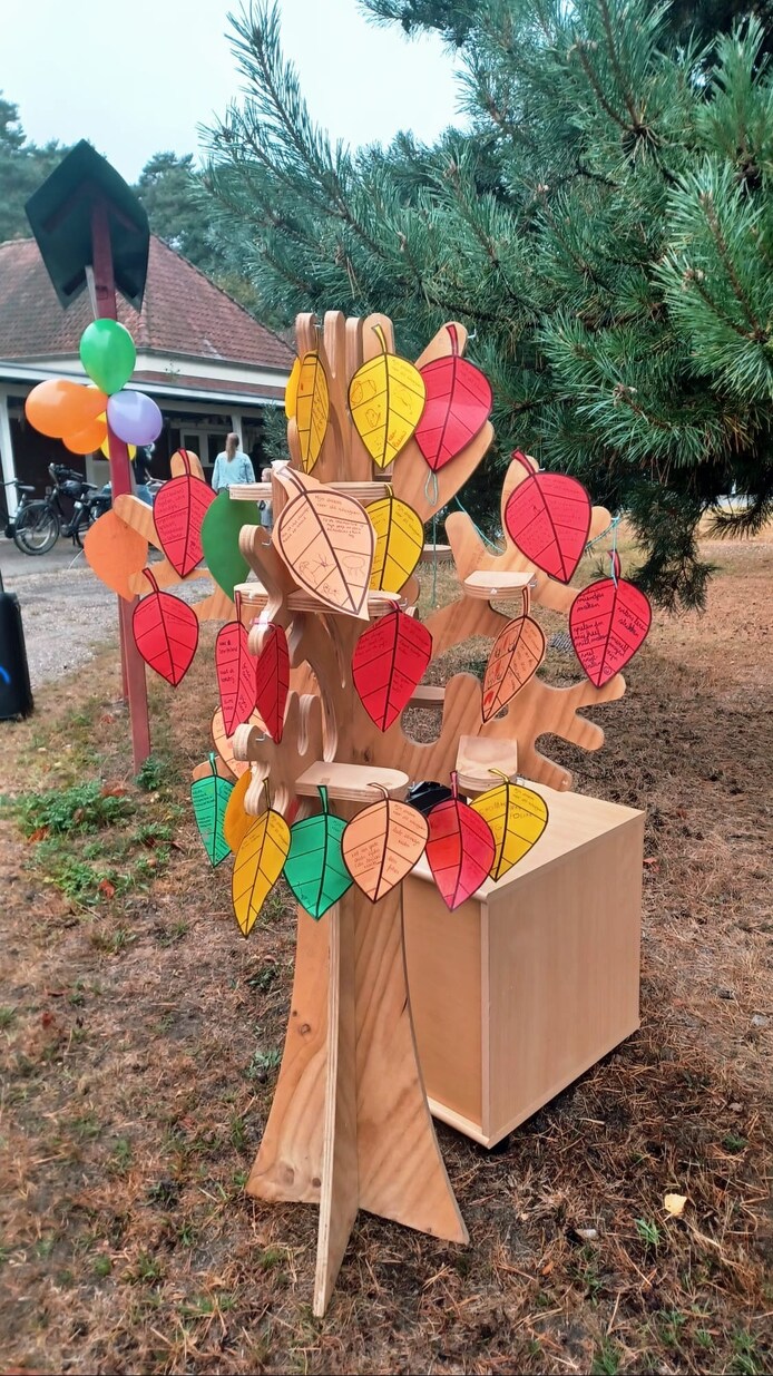 Leerlingen Sprankel in Meulenberg hangen dromen in droomboom: “Hoop dat ...