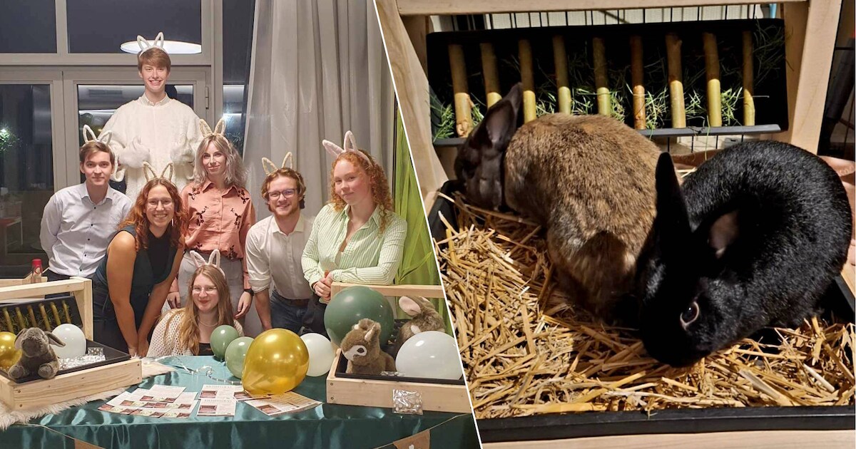 Vives-studenten ontwikkelen voedzame konijnenbak voor ...