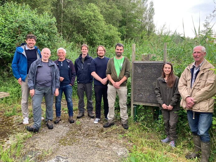 De Liereman erkend als wilde bijenreservaat | Oud-Turnhout | hln.be