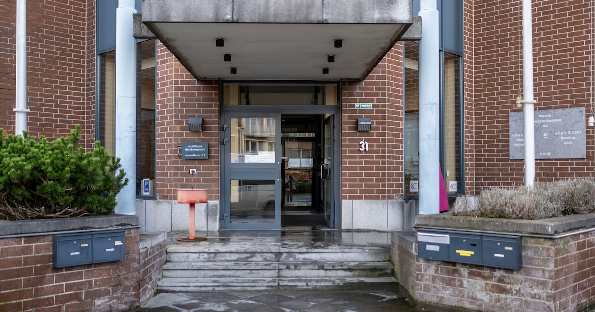 Jonge bestuurder moet theoretisch rijbewijs opnieuw afleggen na ...