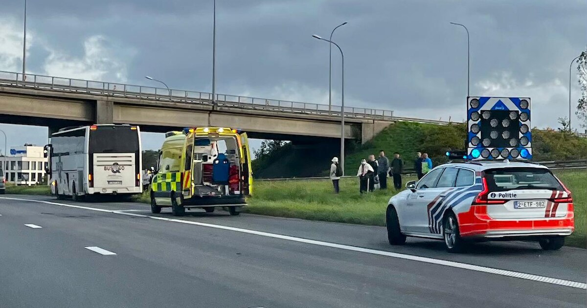 Bus rijdt tegen betonnen afsluiting op E19 in Mechelen-Noord | Mechelen ...