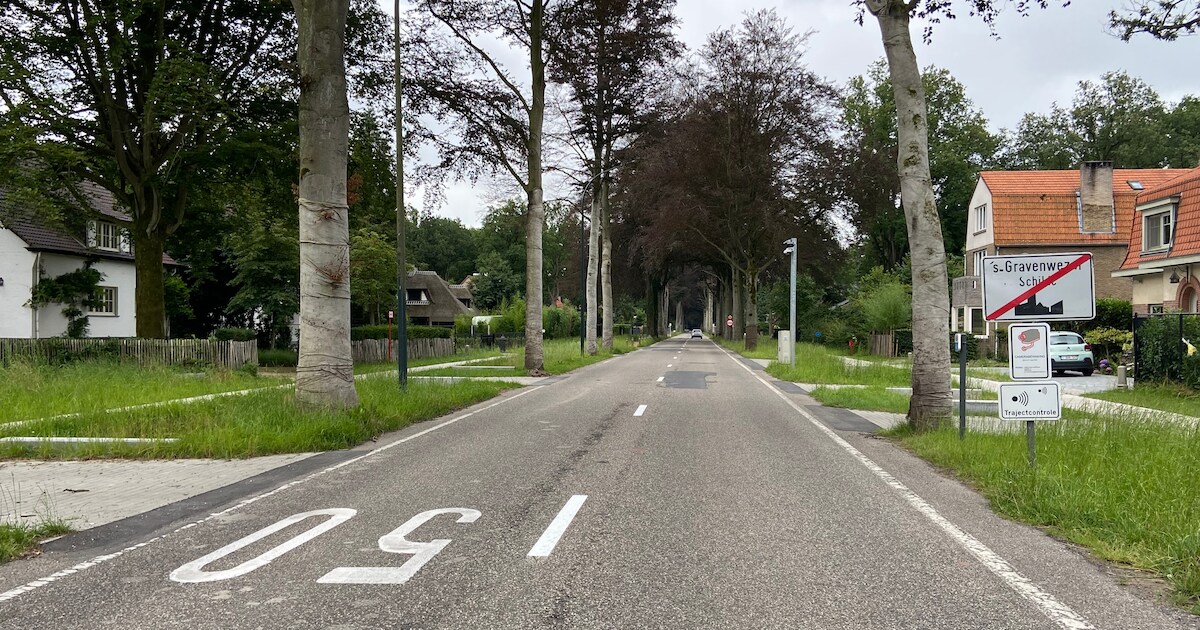 Zestien zieke laanbomen langs hoofdbaan in ‘s-Gravenwezel worden deze ...
