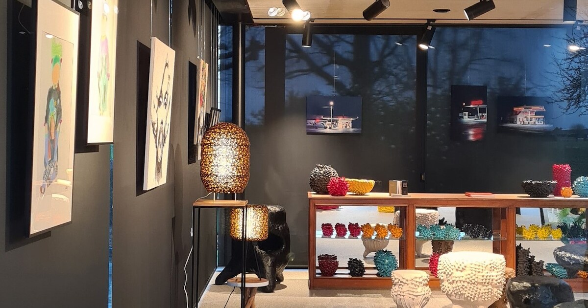 Vijf kunstenaars tonen werk op Expo d’Assembl’art | Izegem | HLN.be