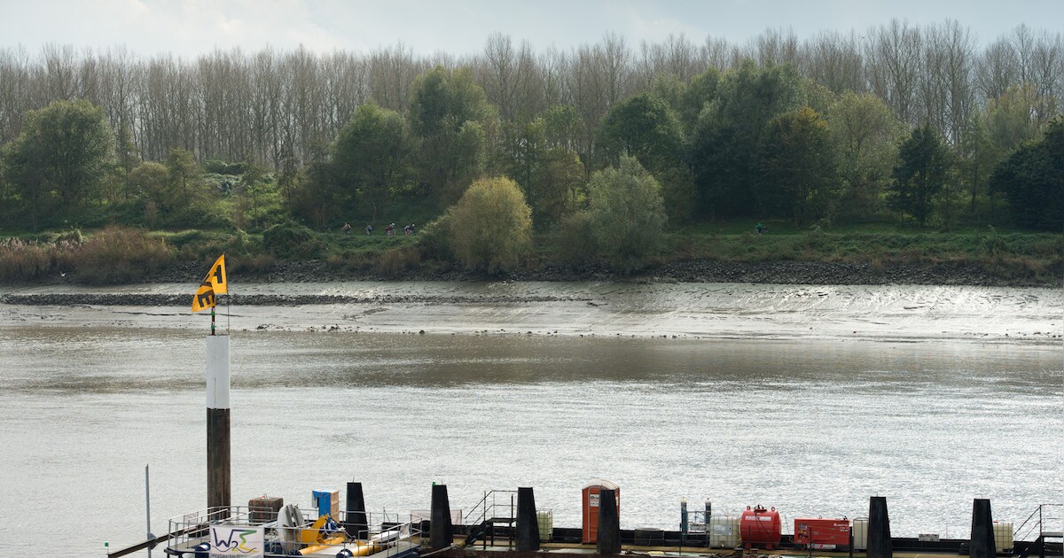 Energie uit de Schelde? | Temse | HLN.be
