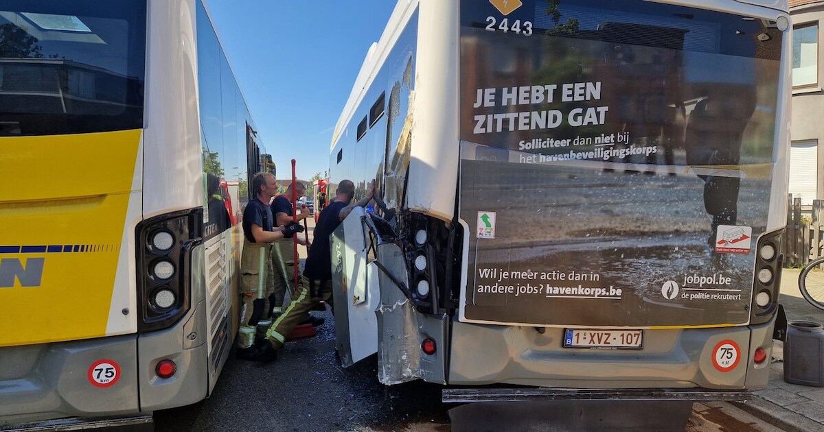 Twee bussen De Lijn botsen op elkaar in Wilrijk: drie lichtgewonden ...