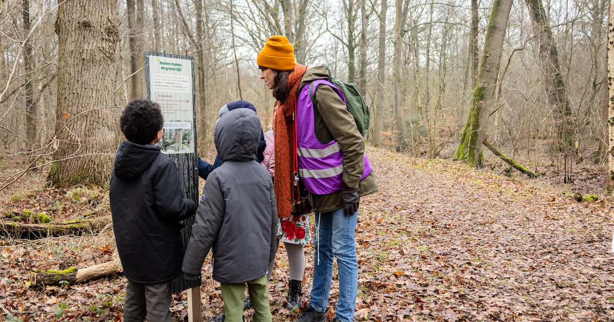 Nieuwe doe-wandeling in Het Leen in Eeklo: “Bomen kunnen veel meer dan ...