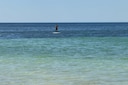 Australische Austin (13) zwemt vier uur lang door woeste zee om gezin ...